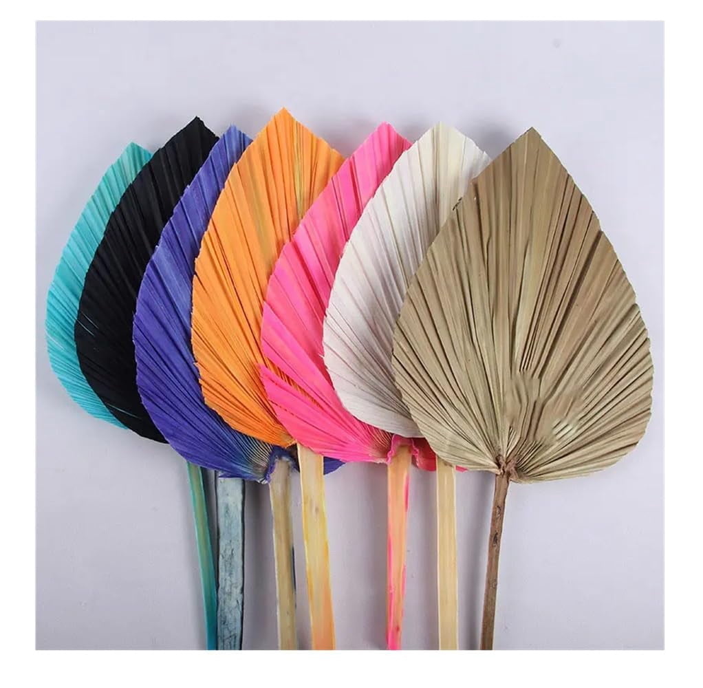 SPHINX Natural Dried Palm Leaf Sticks Boho Theme Dcor Dried Flora for ...