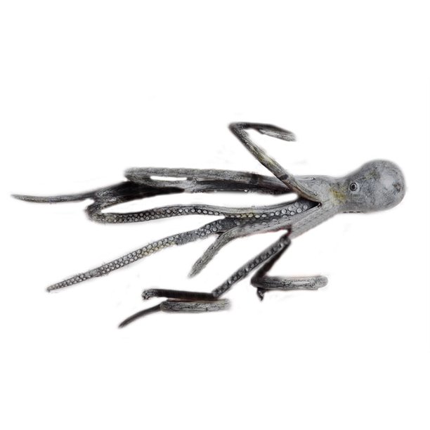 SPI Octopus Wall Hanging Planter Holder W/ 4 Pots - Walmart Business ...