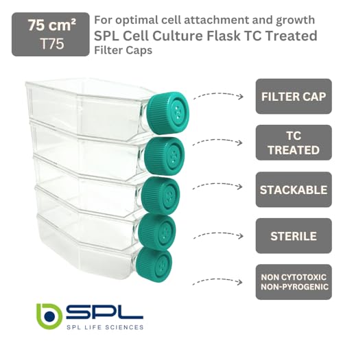 SPL Cell Culture Flask 75 cm2 (T75) Filter Cap, Treated, Sterile, 100 ...