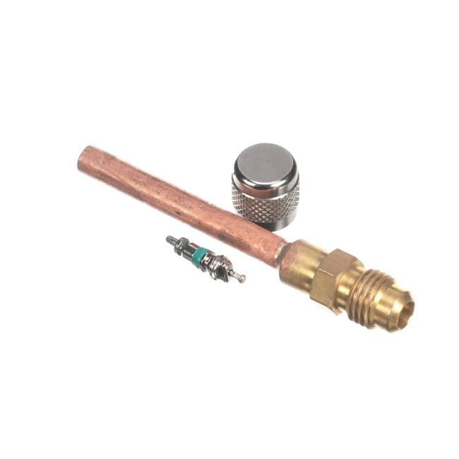 SPM Complete Valve with Core & Cap - Walmart.com