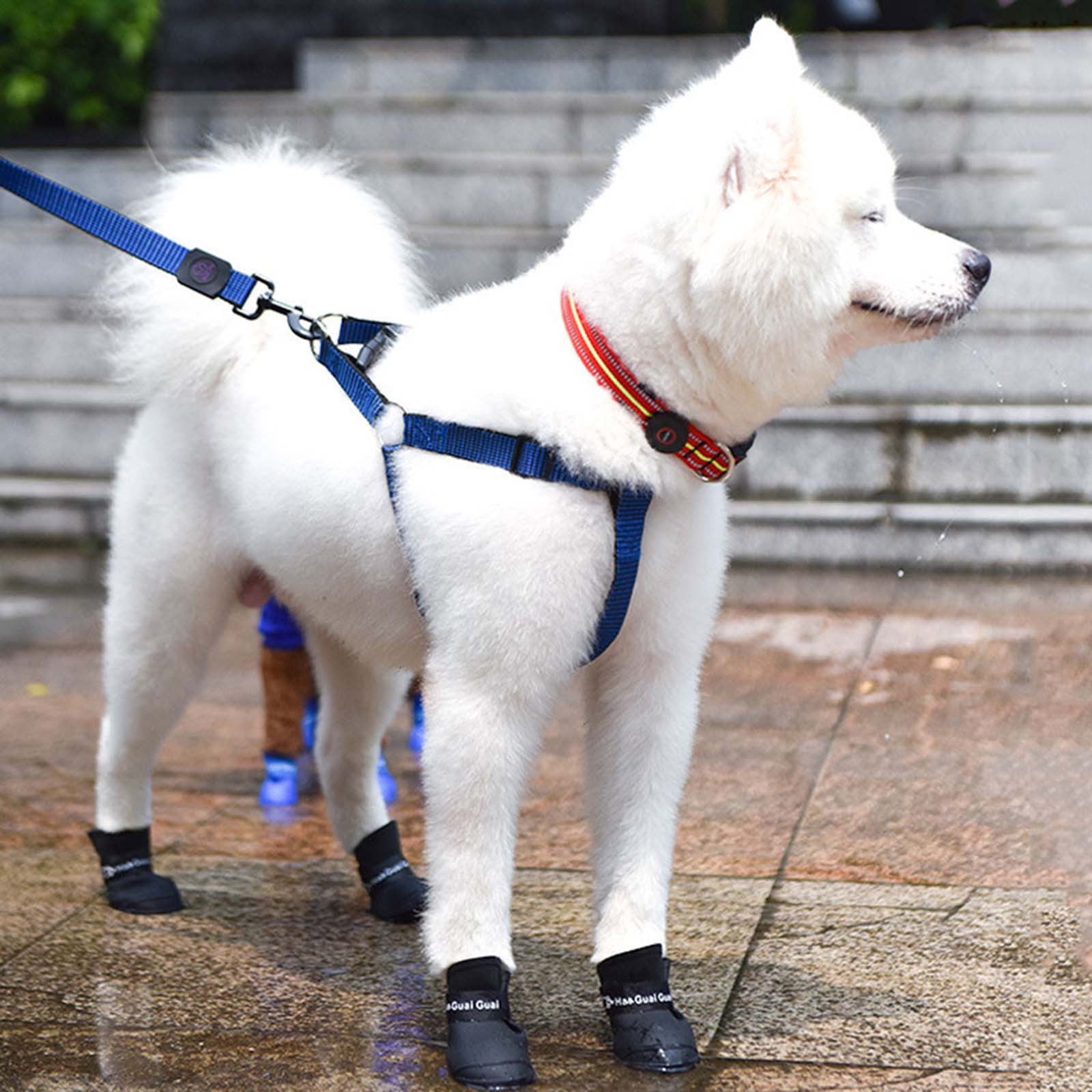 SPOORYYO Dog Shoes Small Size Dogs,Puppy Dog Boots & Paw Protectors ...