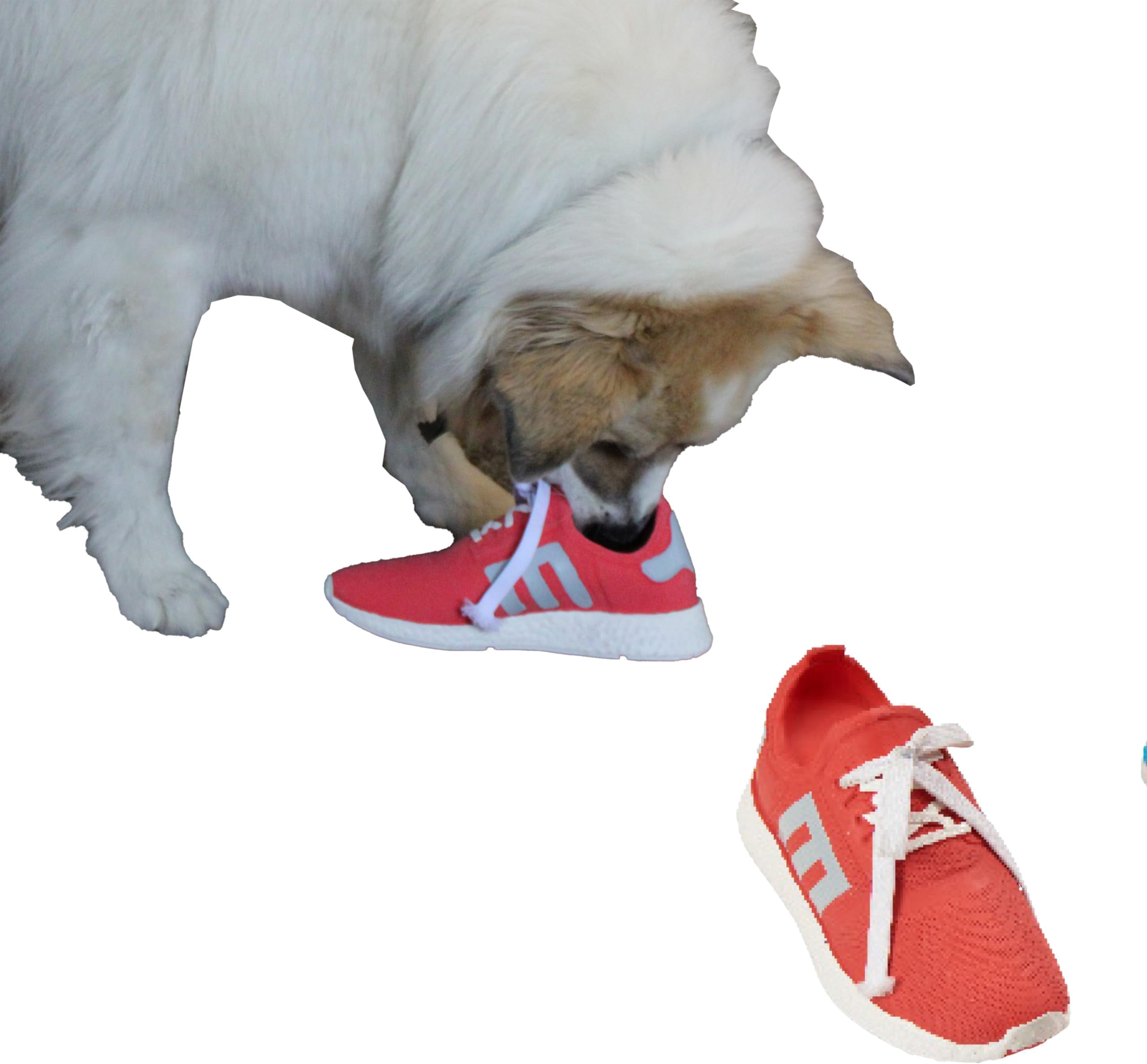 SPOT Latex Shoes Dog Toys -Soft & Stuffing-Free with Honking Squeaker ...