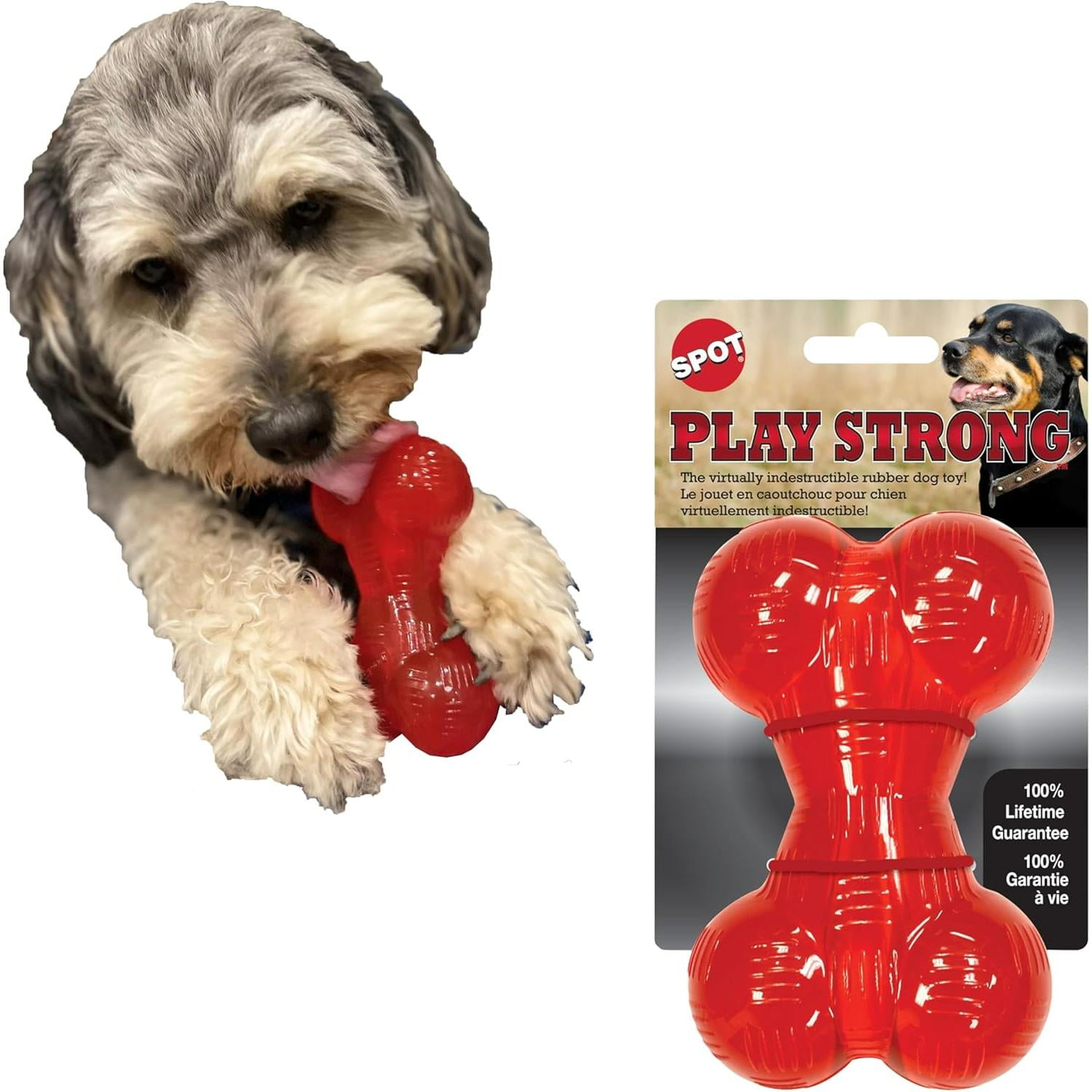SPOT Play Strong Bone Durable TPR Dog Chew Toy for Aggressive Chewers ...