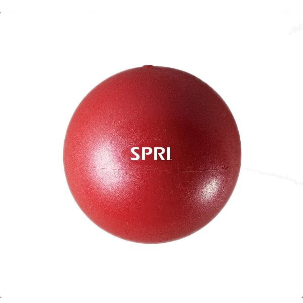 SPRI Red Sponge Ball Pms 200 - Walmart.com