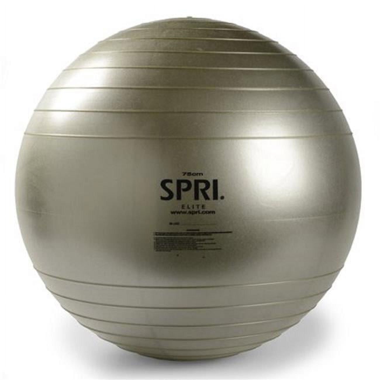SPRI SXBPP75S 75 cm Pro Plus Xercise Ball, Silver - Walmart.com
