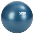 SPRI Weighted Stability Exercise Ball, 55cm, Blue - Walmart.com