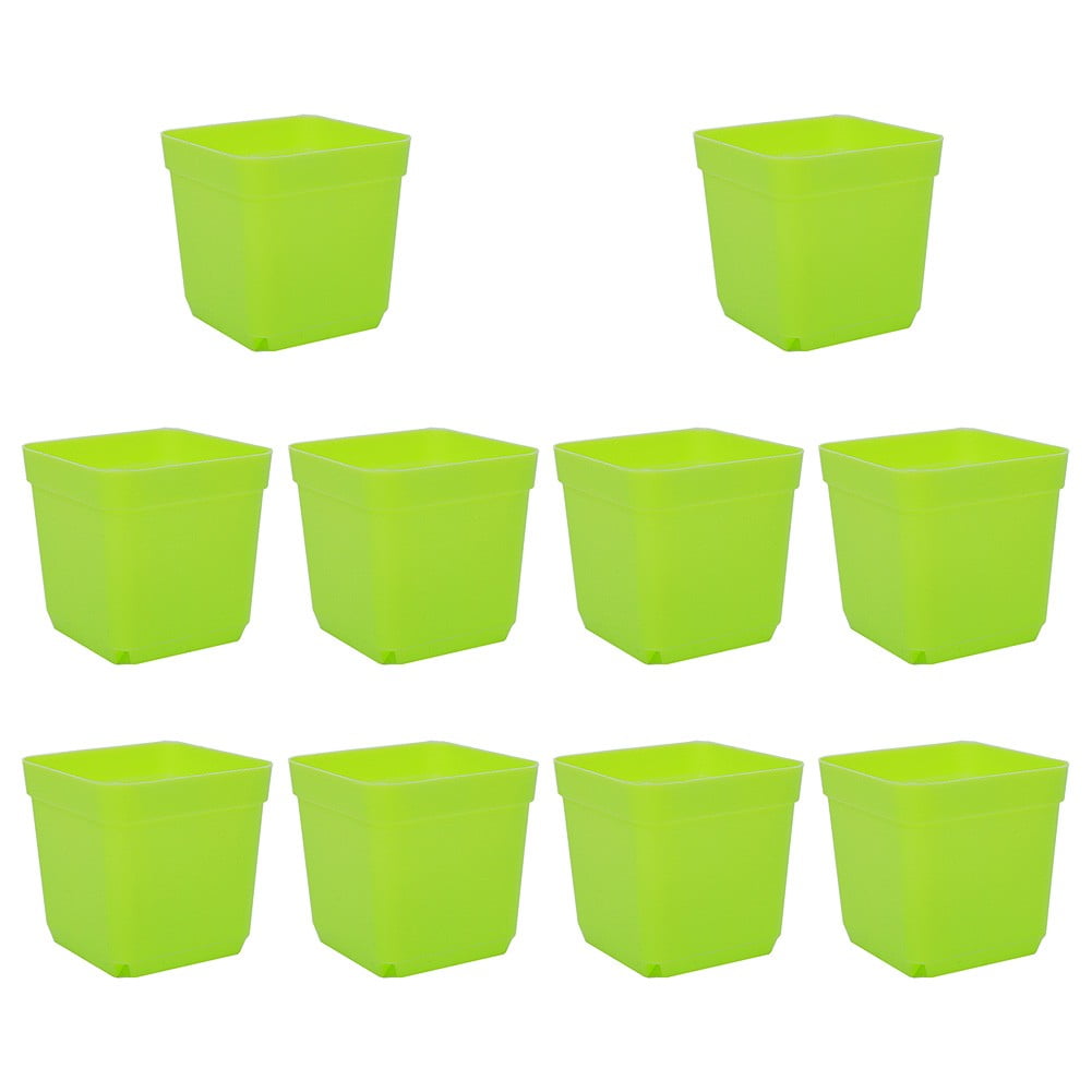 SPRING 10Pcs 5.5cm Square Plastic Succulent Pots Plant Pots with Bottom ...