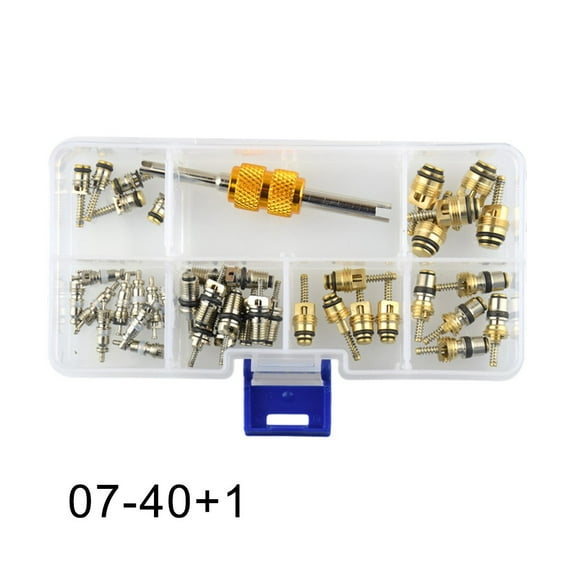 SPRING Ac Valve Core Repair Kit For Automotive Use With 50 Cores And ...