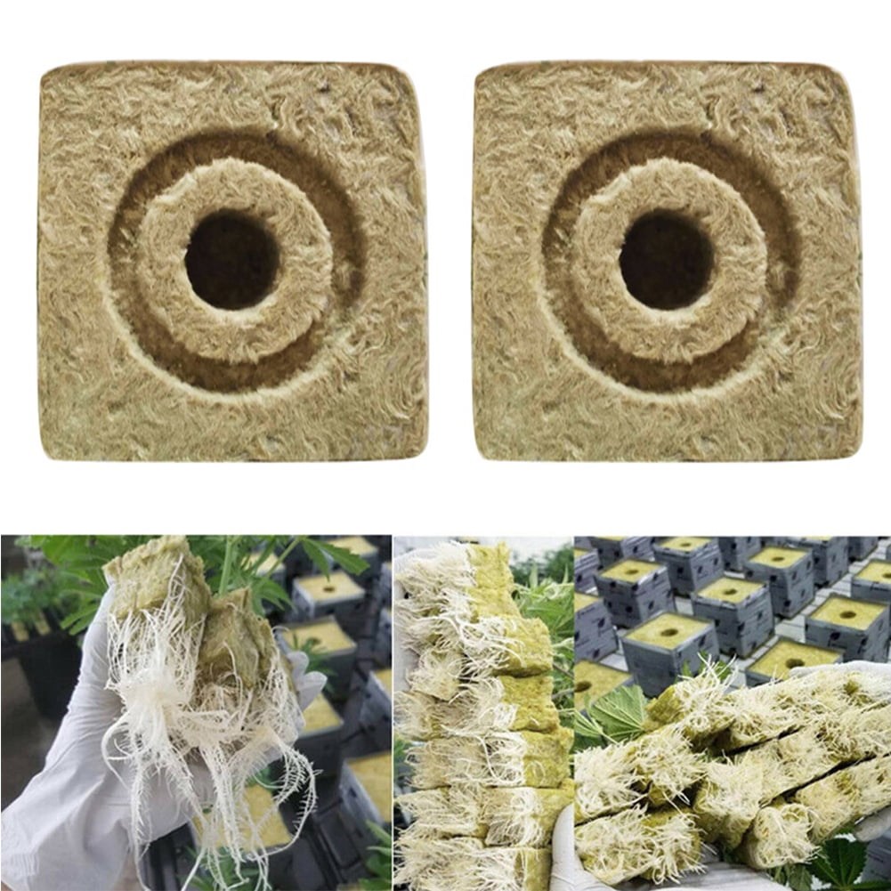 SPRING PARK 2Pcs Cubes Stonewool Starter Plugs Hydroponics Growing ...