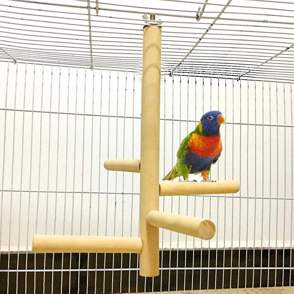 SPRING PARK Bird Perch,Natural Wooden Training Stand 4 Stairs Ladder ...