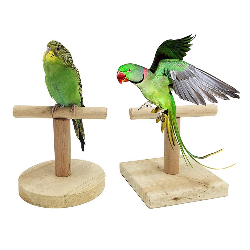 SPRING PARK Bird Table Perch Stand Wooden, Wood Small Birds Tabletop T ...