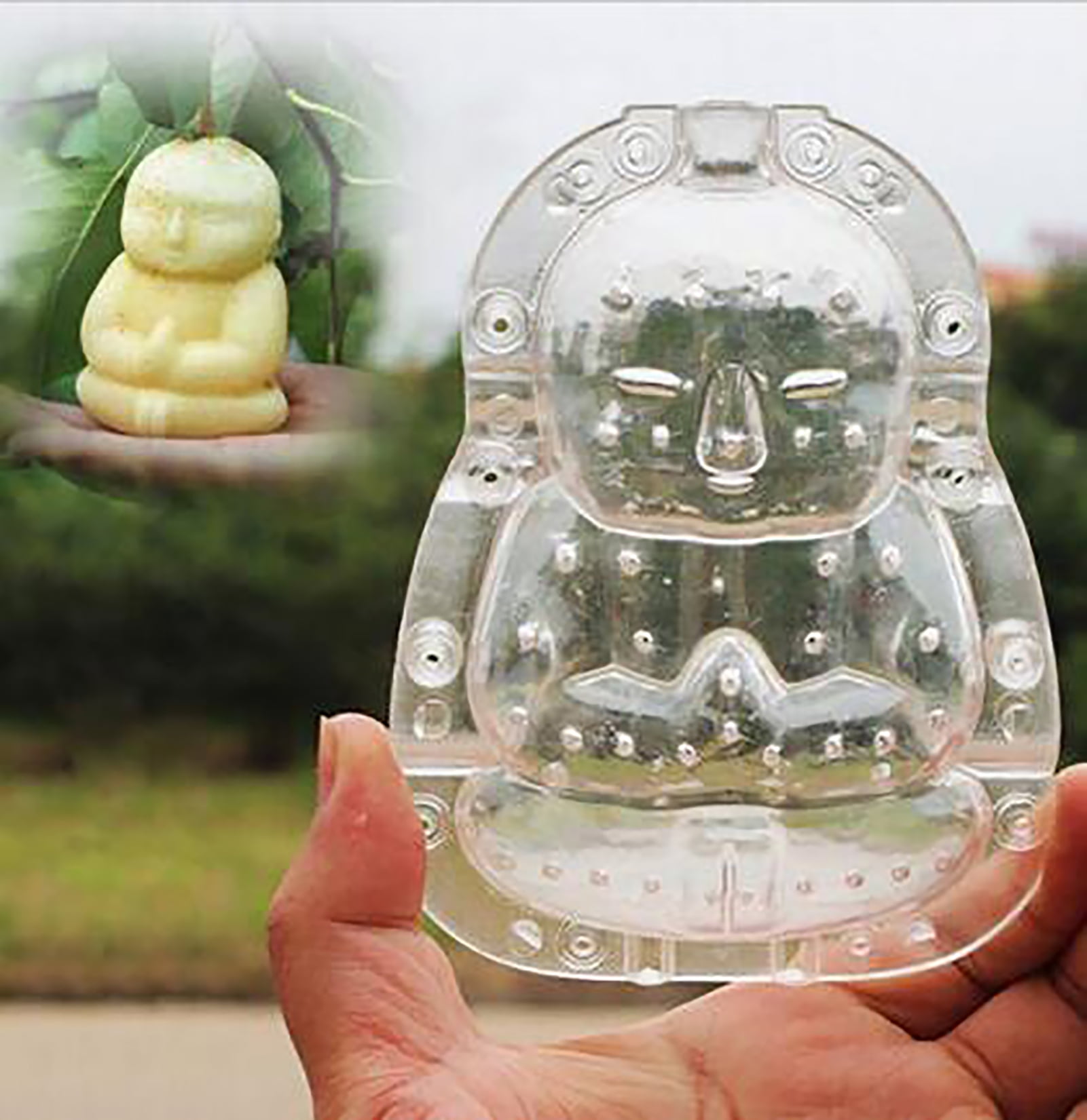SPRING PARK Buddha-shaped Fruits Shaping Mold Garden Pear Muskmelon ...