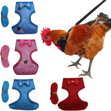 My Pet Chicken Nylon Walking Chicken Harness, Pink, S (13" to 17" Chest ...