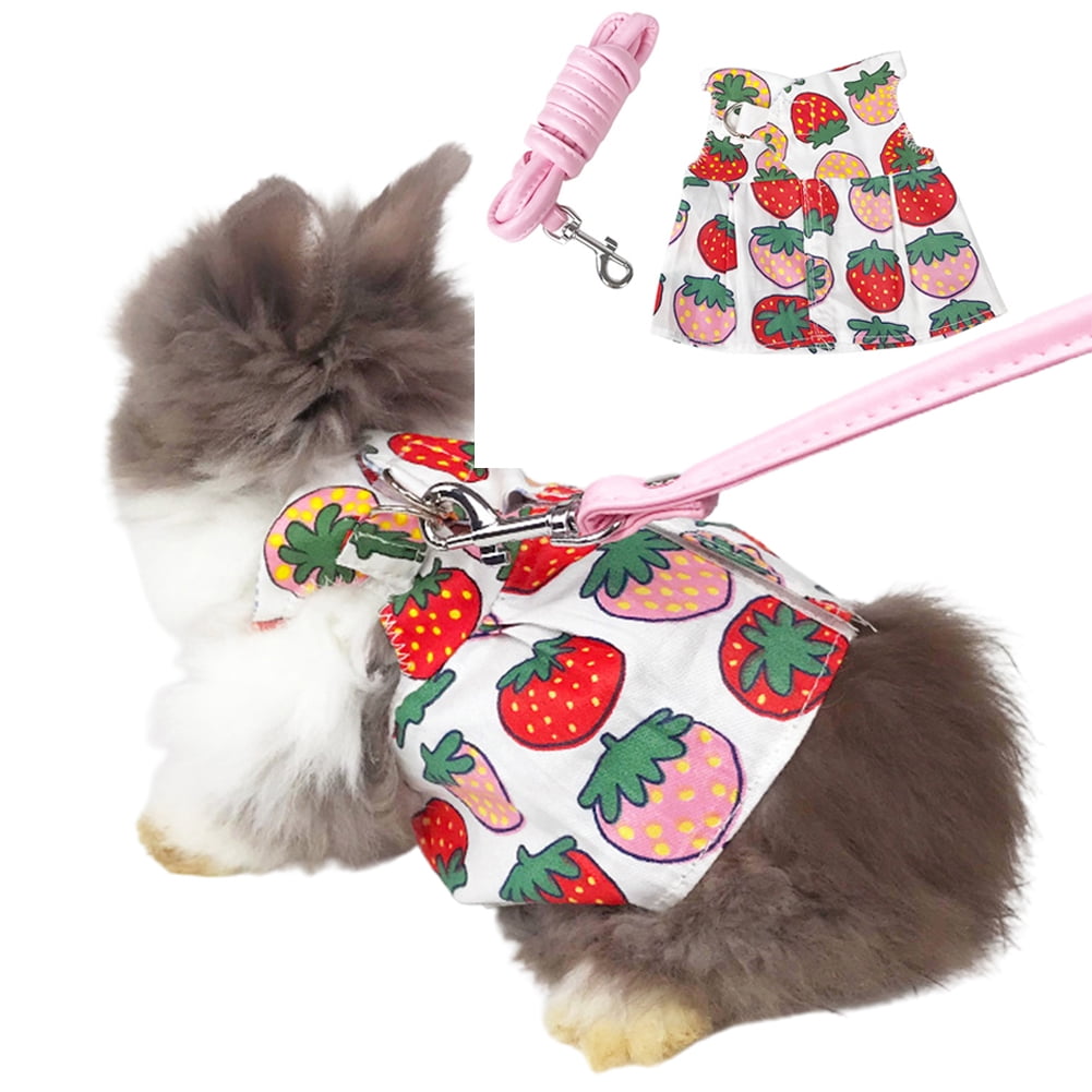SPRING PARK Cute Rabbit Leash and Harness Set, Bunny Rabbit Dress ...