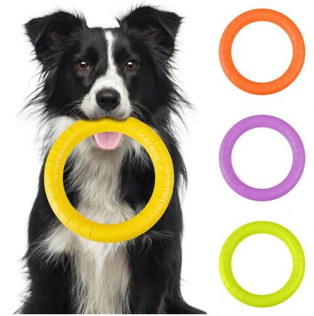 SPRING PARK Dog Training Ring Fitness Tool Flying EVA Interactive Pet ...