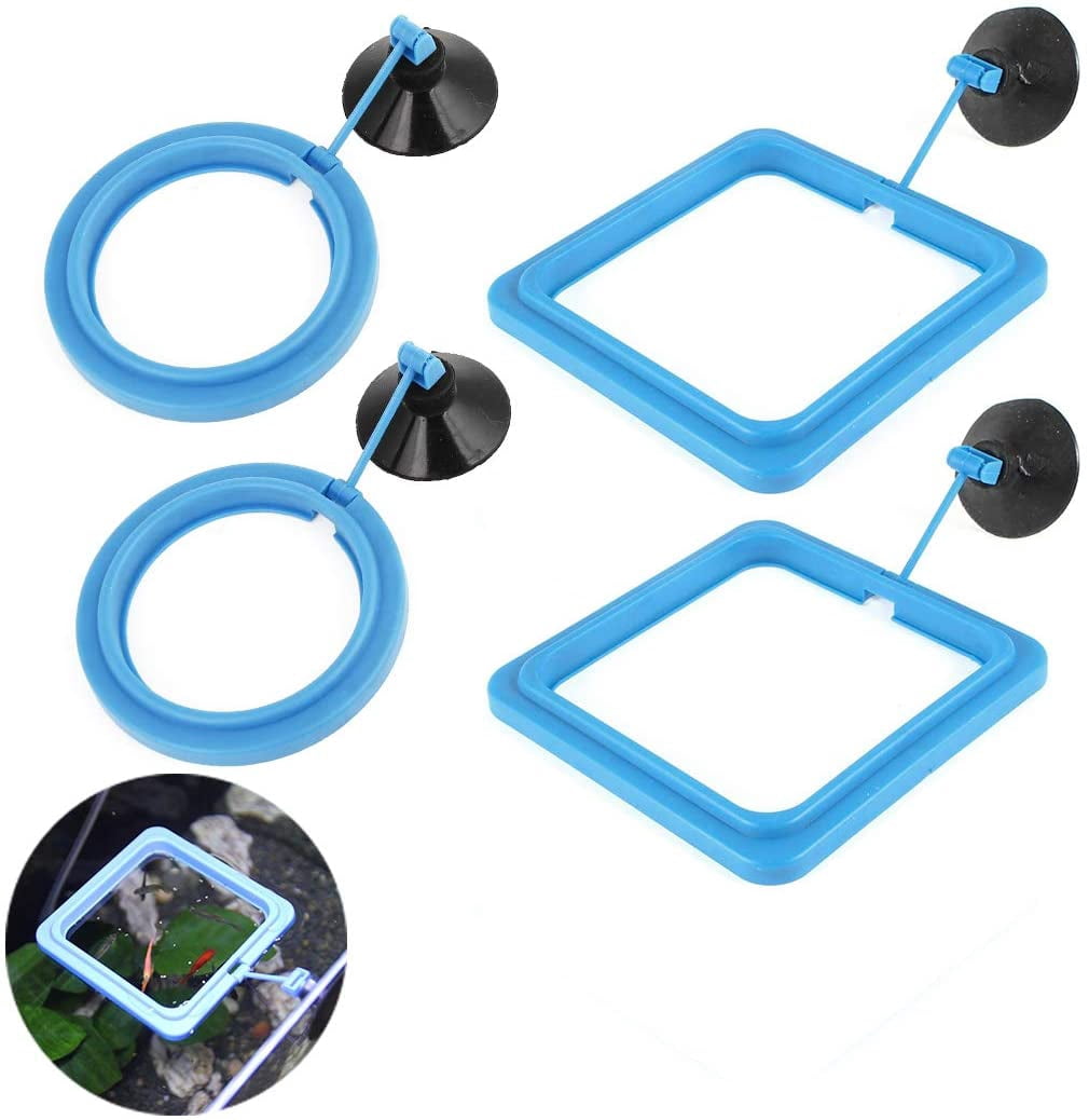 SPRING PARK Fish Feeding Ring Square and Round Shape, Aquarium Fish ...