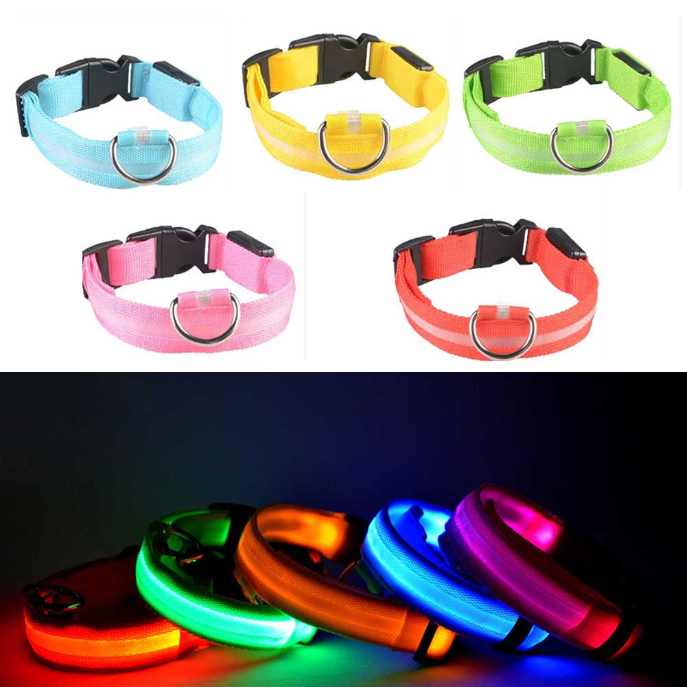 SPRING PARK LED Dog Collar USB Rechargeable Flashing Light Dog Puppy ...