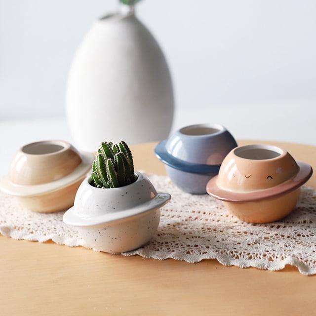 SPRING PARK Mini Succulent Planter Glazed Ceramic Miniature Flower Pot ...