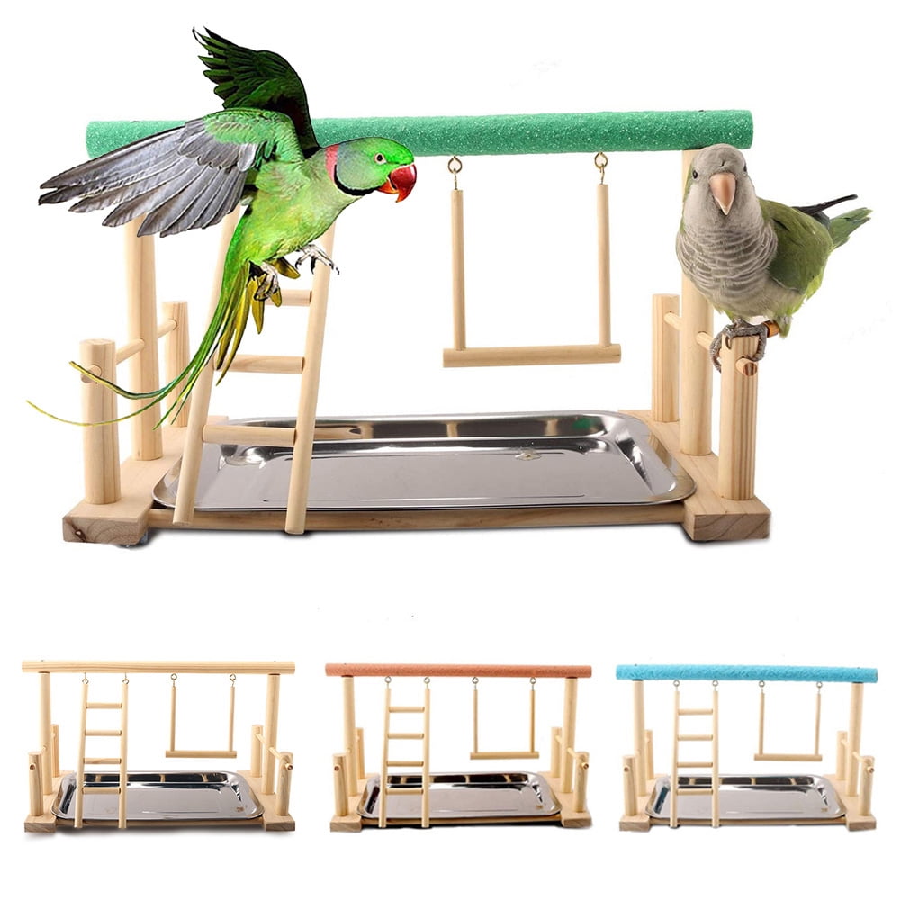 SPRING PARK Parrot Play Stand Bird Playground Wood Perch Gym Playpen ...