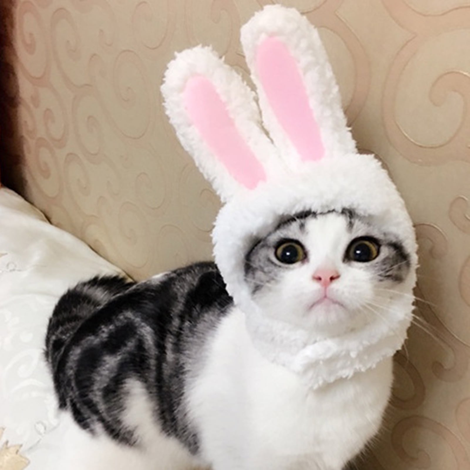 SPRING PARK Easter Bunny Ears Dog Headband, Adjustable, One Size ...