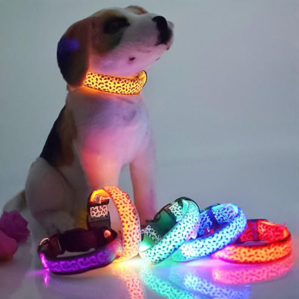 SPRING PARK Pet Leopard Print Collar Adjustable Night Safety Collar ...