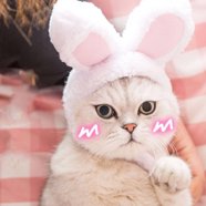 Cat Bunny Ears Headband, Cute Rabbit Ears Cat Headdress Pet Hat Easter ...