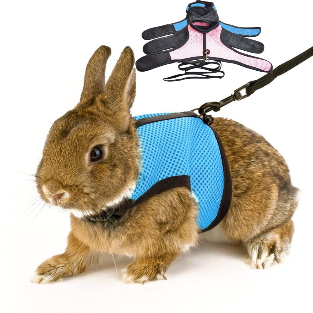 SPRING PARK Rabbit Vest Hamster Harness With Leash Bunny Mesh Chest ...