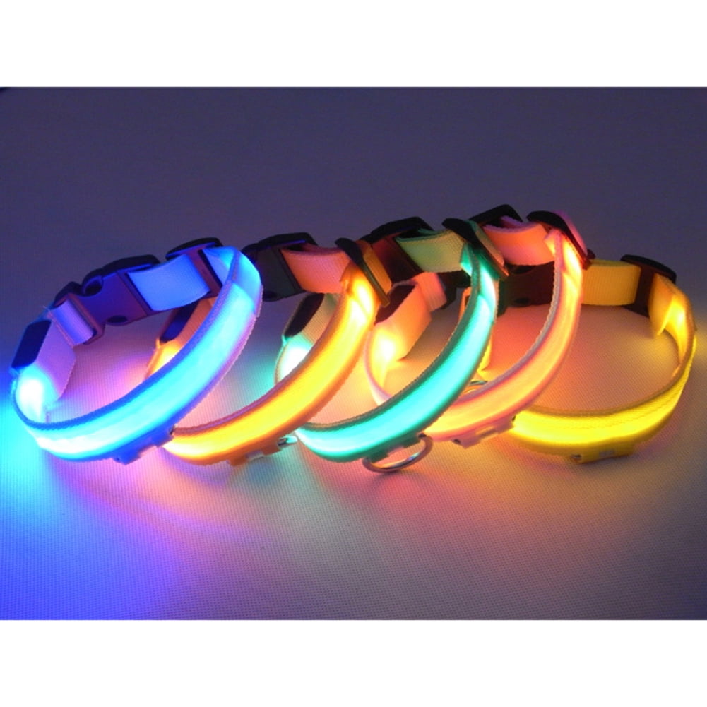 SPRING PARK Safety Anti-lost LED Dog Collar – USB Rechargeable with ...