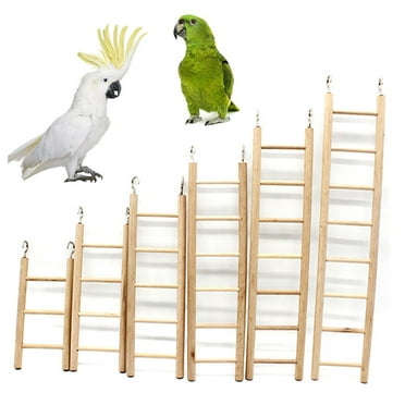 SPRING PARK Bird Perch,Natural Wooden Training Stand 4 Stairs Ladder ...