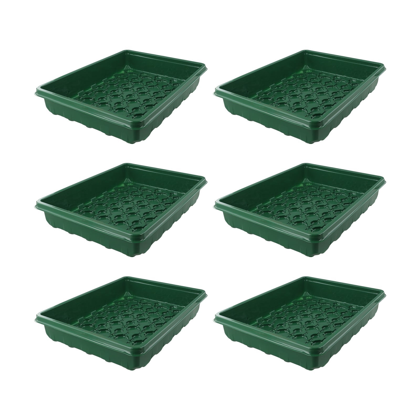 SPRING Plant Growth Chassis Succulent Cuttings Plants Boring Box Green ...