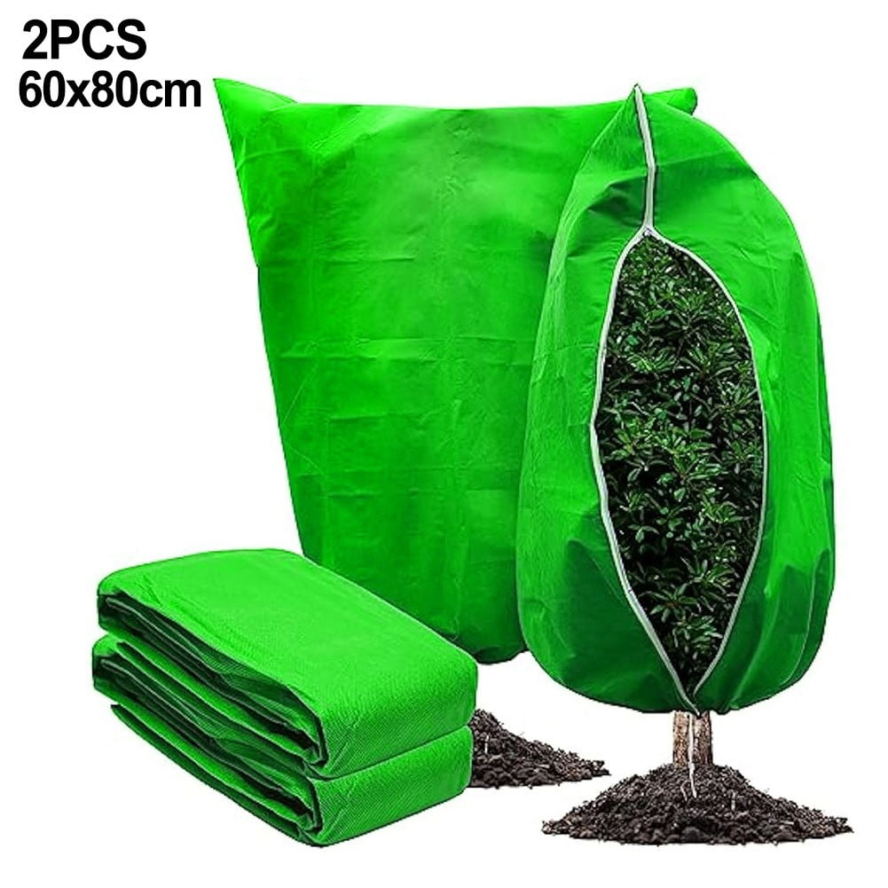 SPRING Plants/shrubs Plant Cover Plant Cover Plants/shrubs ...