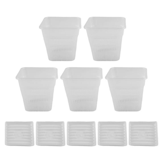 SPRING Root Observation Square Pot Designed For Optimal For Plant ...