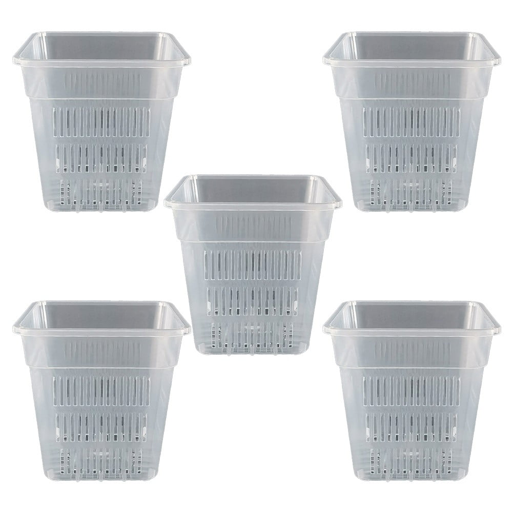 SPRING Root Observation Square Pot Designed for Optimal For plant ...