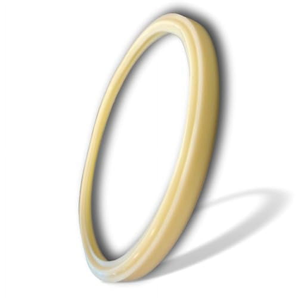 SPX0540Z2 Lens Gasket for Starlite, AstroLite Pool Lights, Heavy-Duty ...