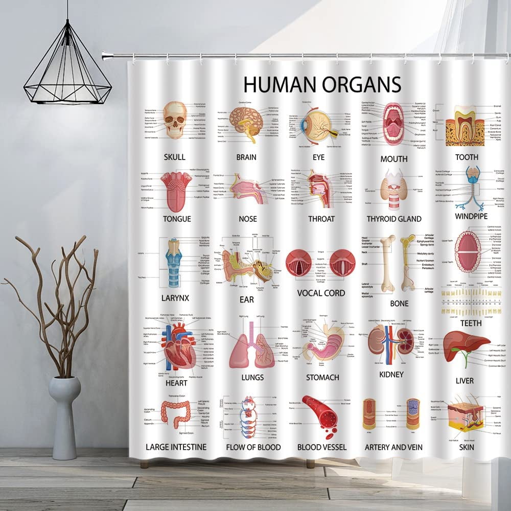 SPXUBZ Human Organs Shower Curtain Anatomy Organ Body Structures Cell ...