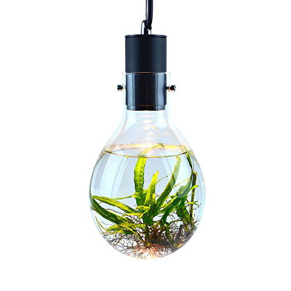 SR Aquaristik Hanging Luminarium Aquarium - Walmart.com