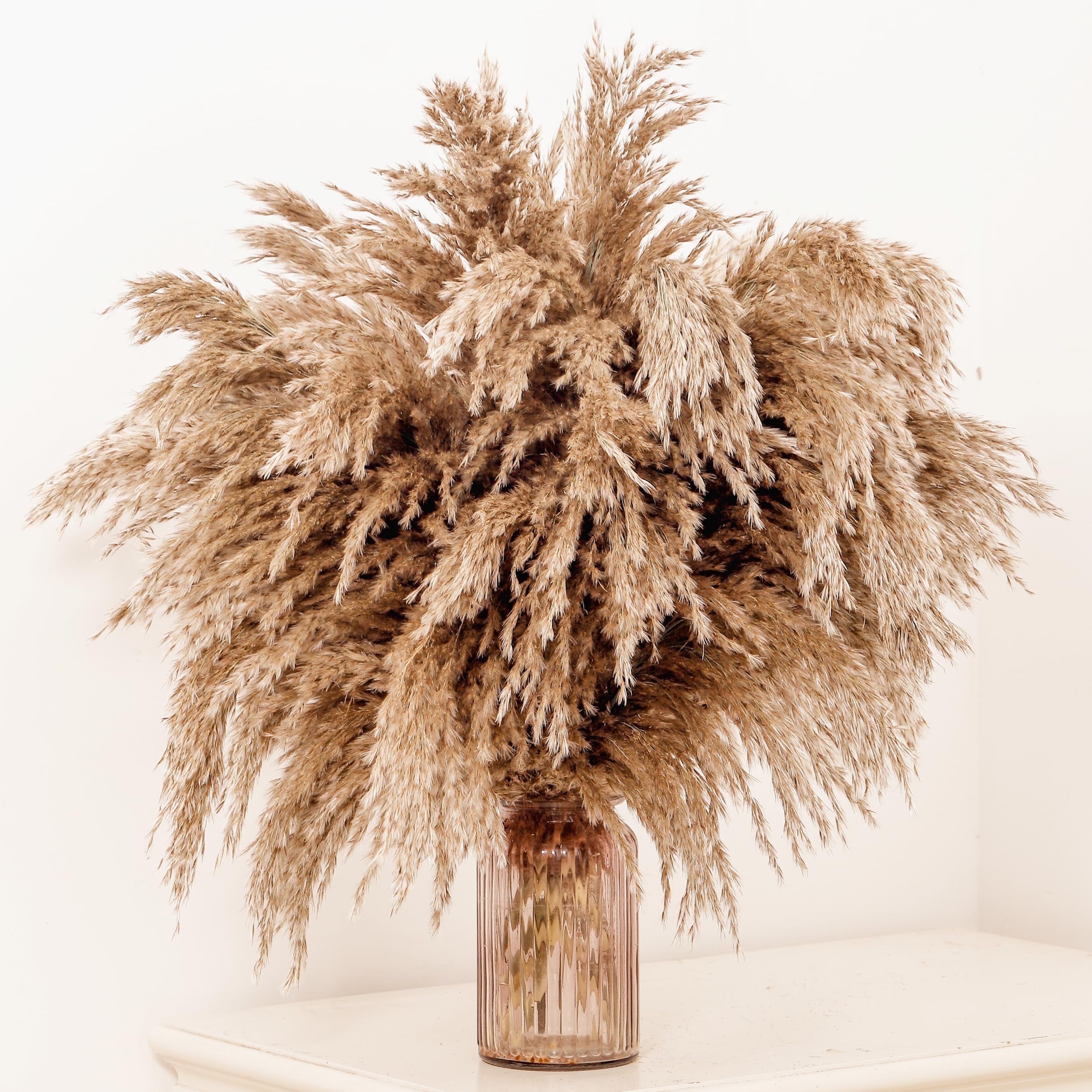 SREED 20 Pcs 23 Inch Tall Fluffy Pampas Grass XL Size Brown Dry Pompous ...