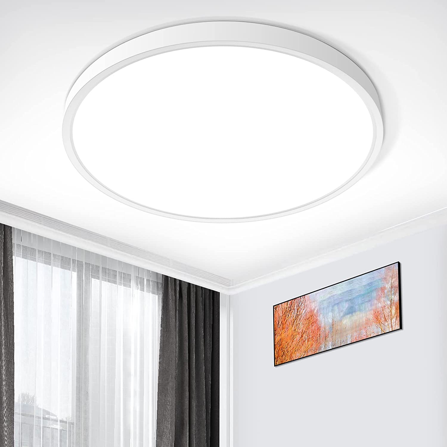 SRWEHG-12inch LED Ceiling Light, White 24W(240W Equiv) 6000K Cold White ...