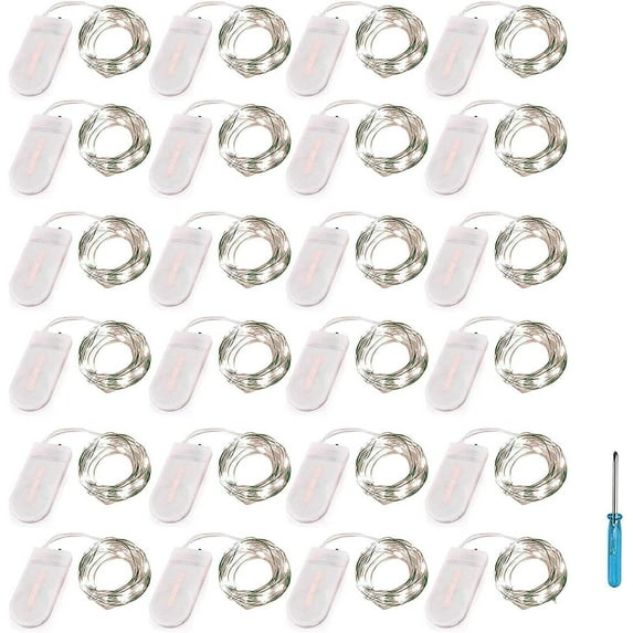 SRWEHG-24 Packs Fairy Lights Battery Operated, LED String Lights 10.2FT ...