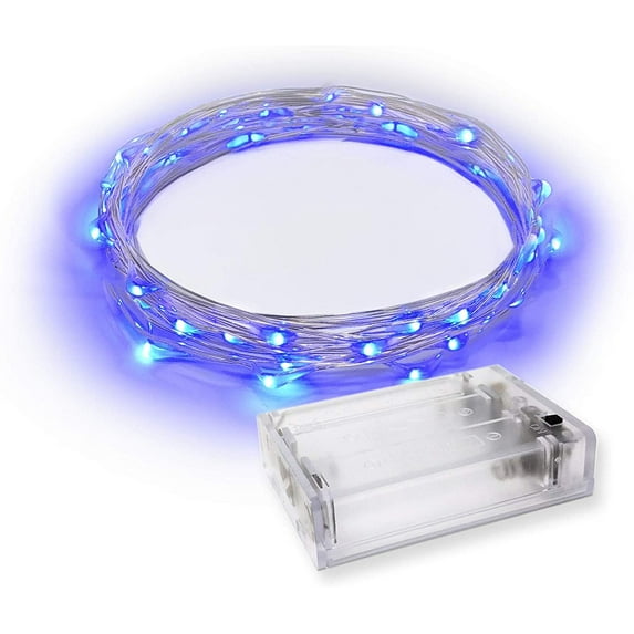 SRWEHG-30 LEDs Blue Color String Lights Silver Wire Indoor and Outdoor ...
