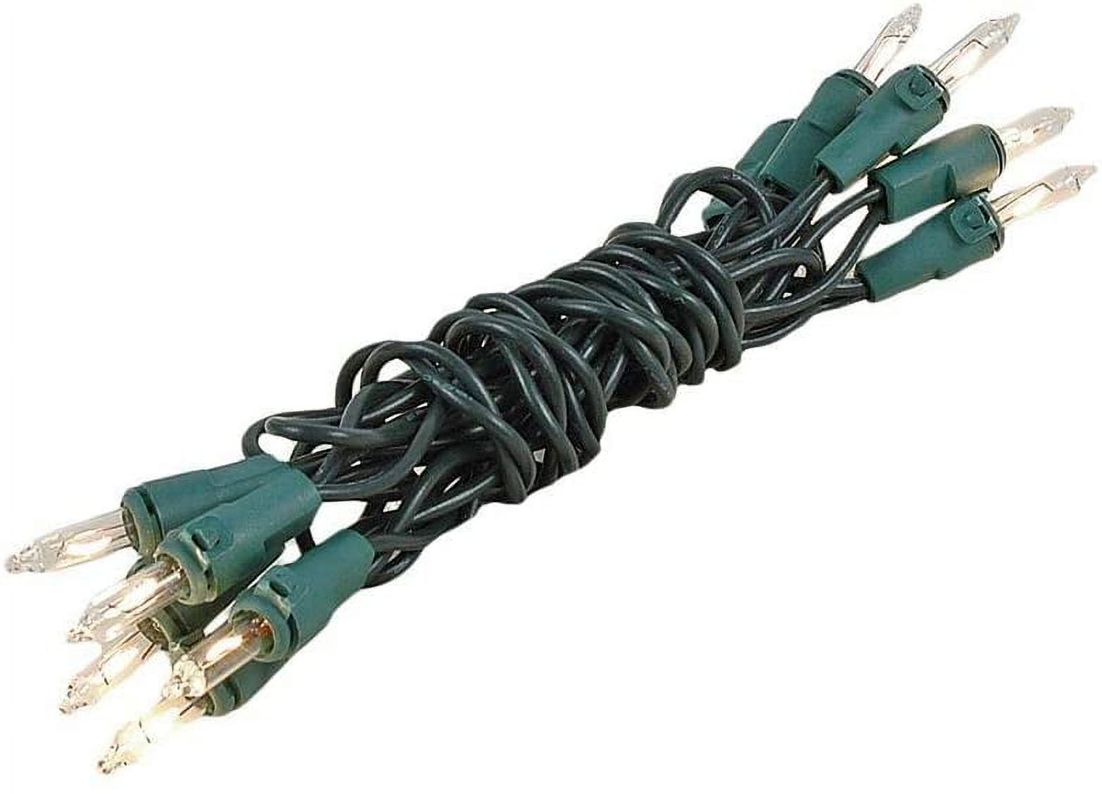 SRWEHG-5.5 Feet 10 Bulb Clear Mini Light String on Green Wire, Non ...