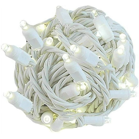 SRWEHG-50 Light LED Twinkle Christmas LED Mini Light Set, Outdoor Fairy ...