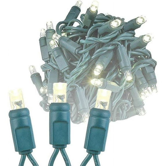 SRWEHG-50 Light LED Twinkle Christmas LED Mini Light Set, Outdoor Fairy ...