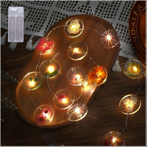 SRWEHG-LED Indoor String Lights Baterry Powered 15 LEDs Christmas ...