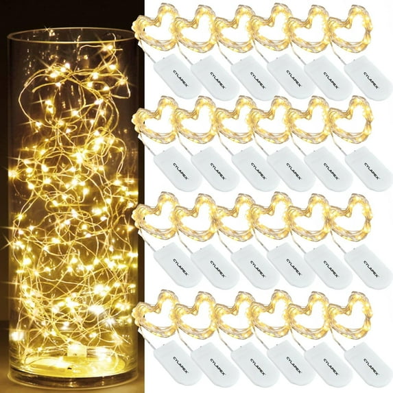 SRWEHG-Pack of 24 Fairy Lights String Battery Operated Fairy Lights ...