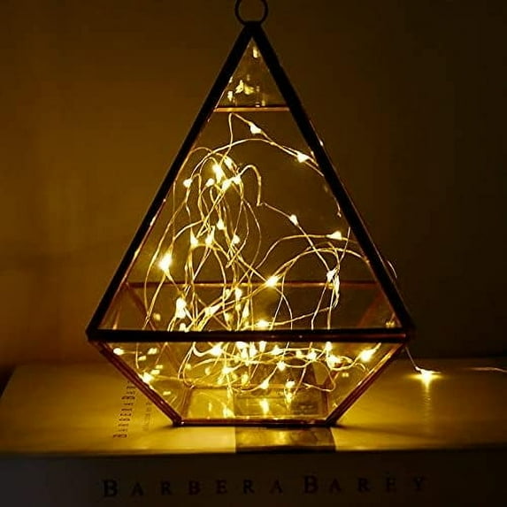 SRWEHG-Timer Led String Light,2 Pack Mini Battery Powered Silver Wire ...