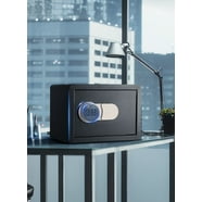 Pacsafe Travelsafe GII TSA Approved Security Case with Lock, Travel ...