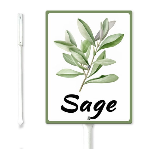 SRongmao Plant Label Signs Planted Herb Garden Markers Waterproof ...