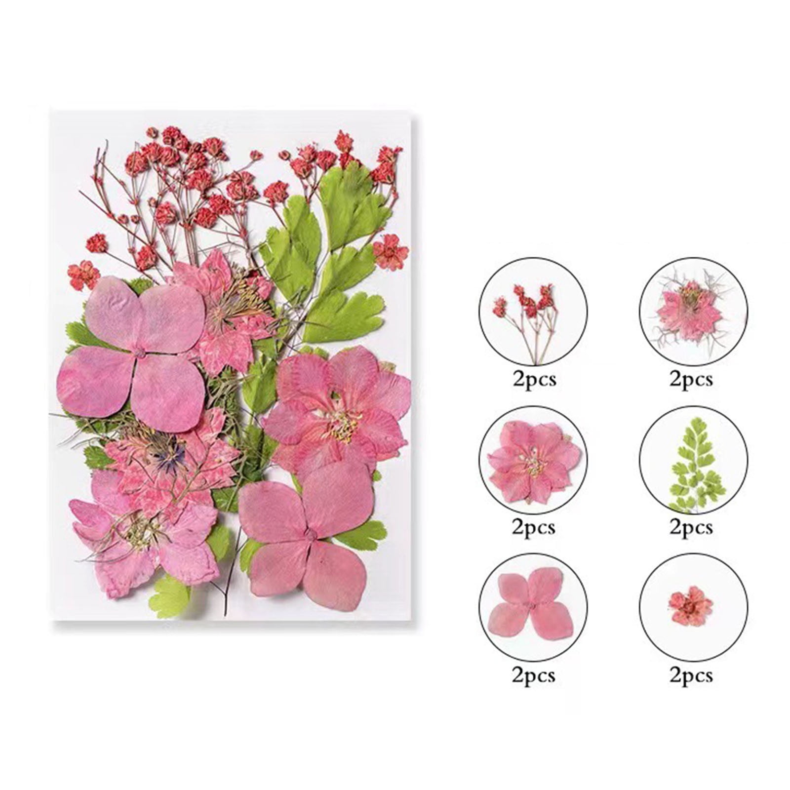 SRstrat Real Dried Pressed Flowers Natural Dried Flowers Leaves ...