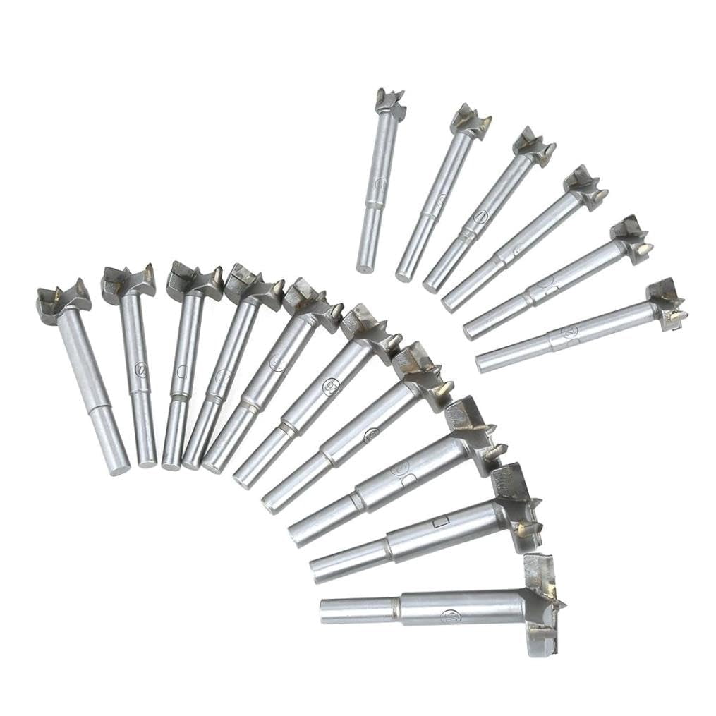 SS-Cemented Carbide Steel Forstner - Set of 16 for Woodworking Boring ...